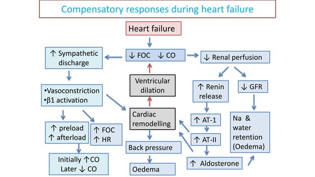 Pathophysiology of CHF PABITRAAAAAAAAppt | PPT