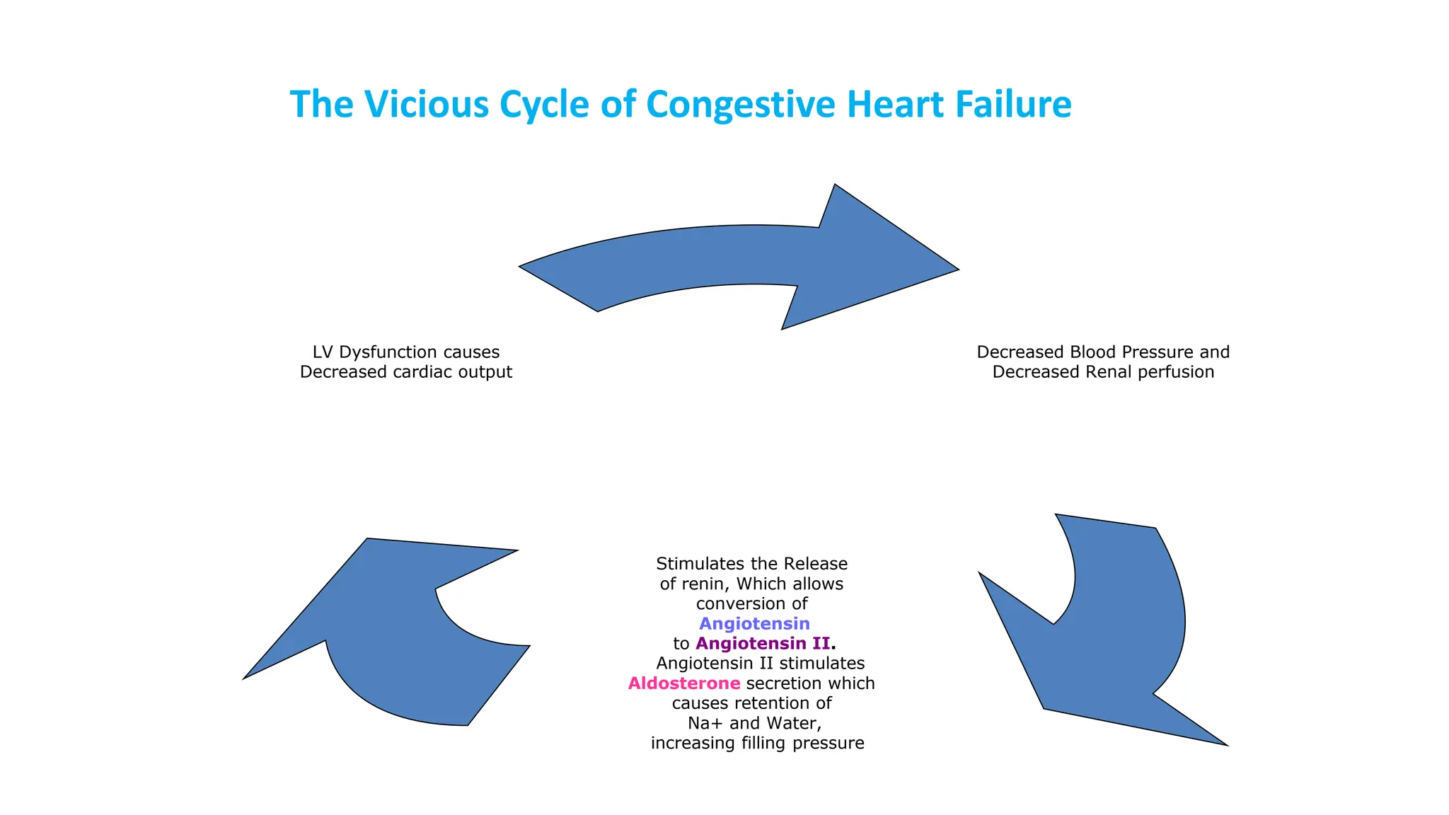 Pathophysiology of CHF12345678922222.ppt