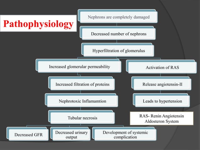 Pathophysiology of chronic renal failure | PPTX