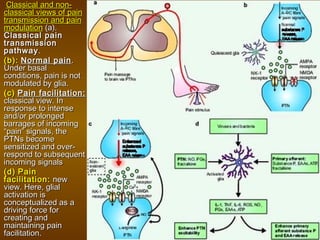 Pathophysiology of cns | PPT
