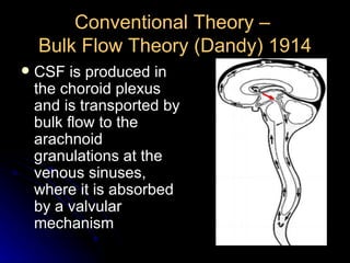 Pathophysiology of communicating hydrocephalus | PPT