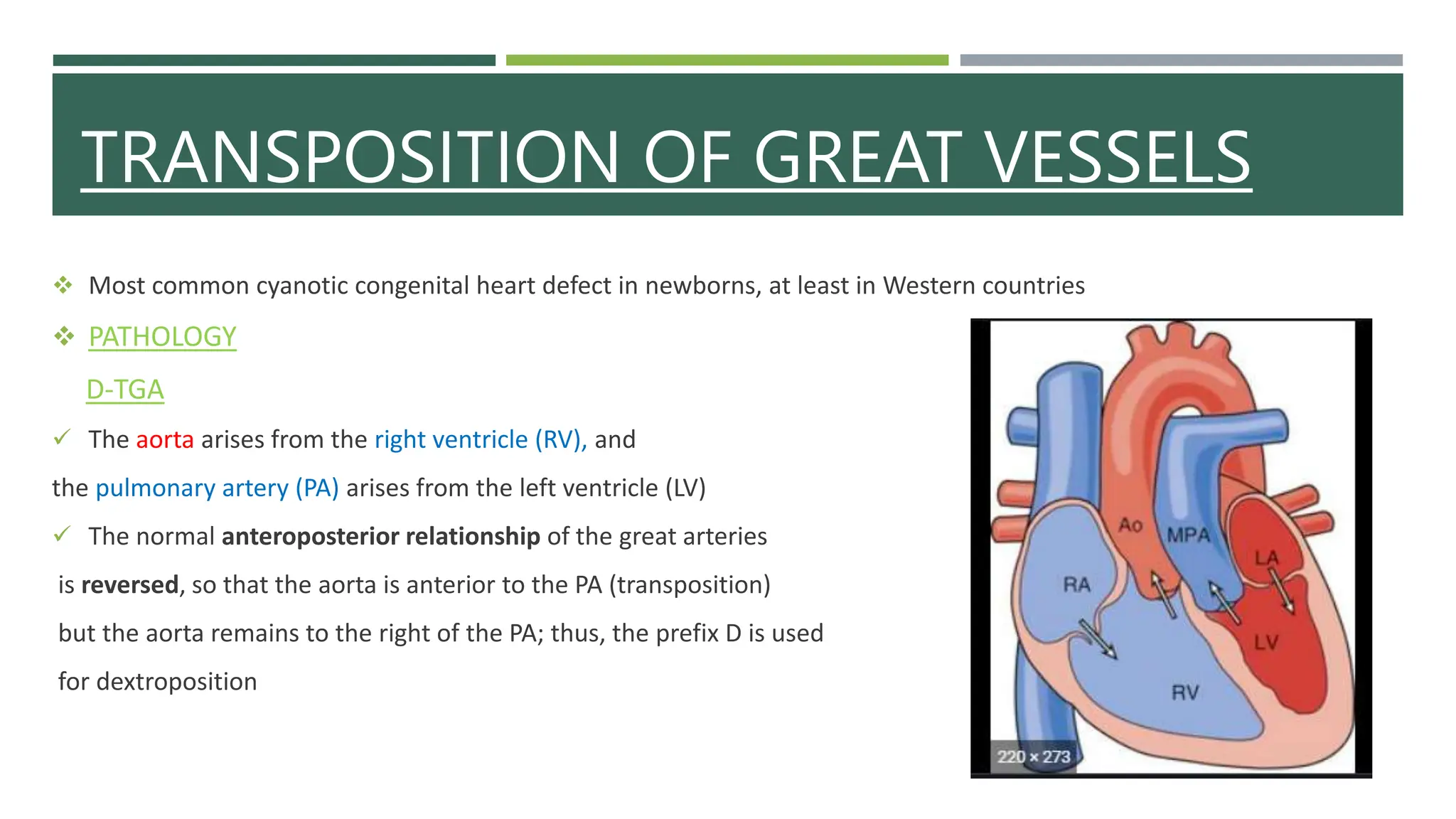 PATHOPHYSIOLOGY OF CONGENITAL CYANOTIC HEART DISEASE (2).pptx