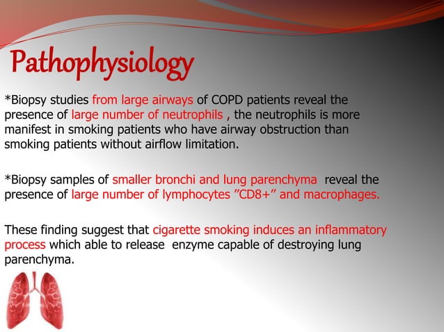 Pathophysiology of copd | PPTX