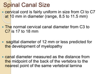 Pathophysiology of csm.pptx