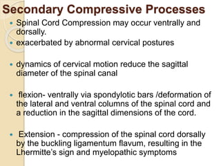 Pathophysiology of csm.pptx