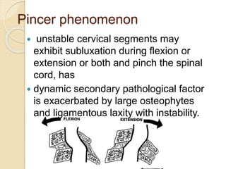 Pathophysiology of csm.pptx