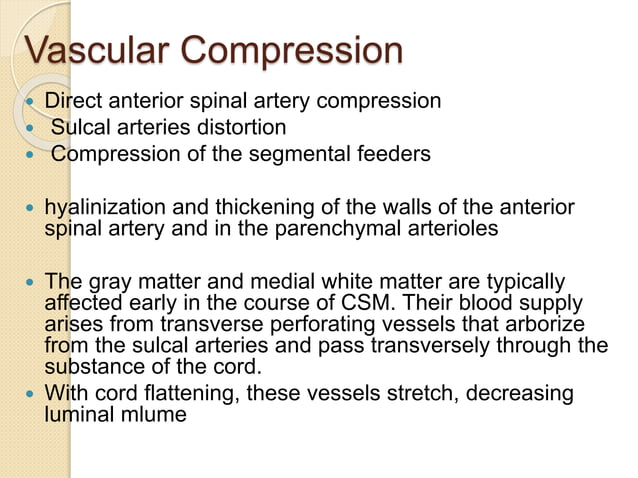 Pathophysiology of csm.pptx