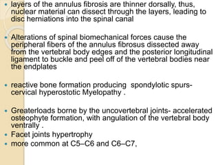 Pathophysiology of csm.pptx