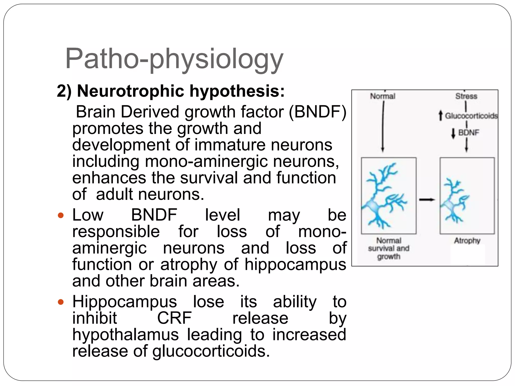Pathophysiology of depression | PPTX