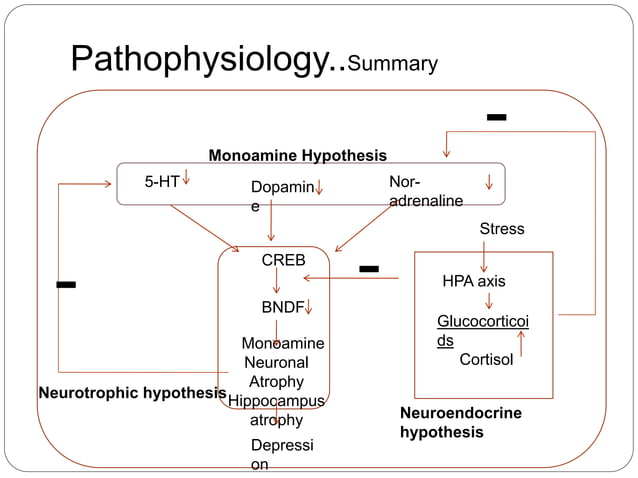 Pathophysiology of depression | PPT