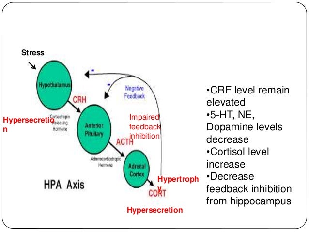Pathophysiology of depression