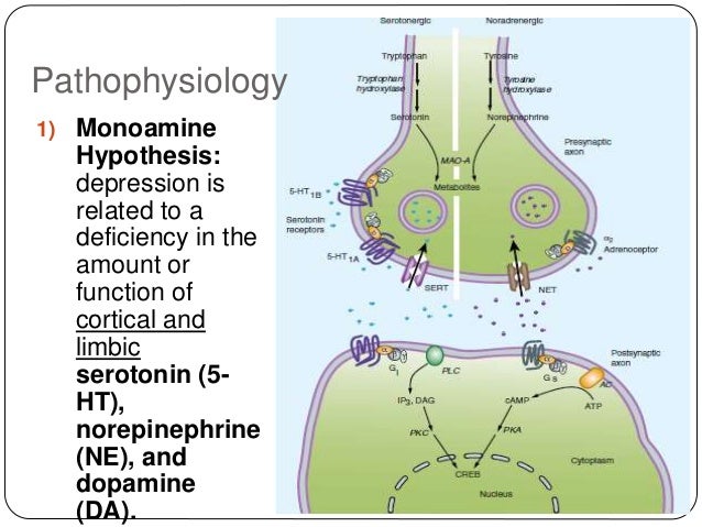 Pathophysiology of depression