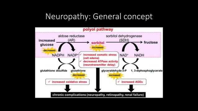 Pathophysiology of DFU.pptx | Diabetes | Diseases and Conditions