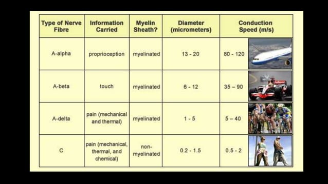 Pathophysiology of DFU.pptx | Diabetes | Diseases and Conditions