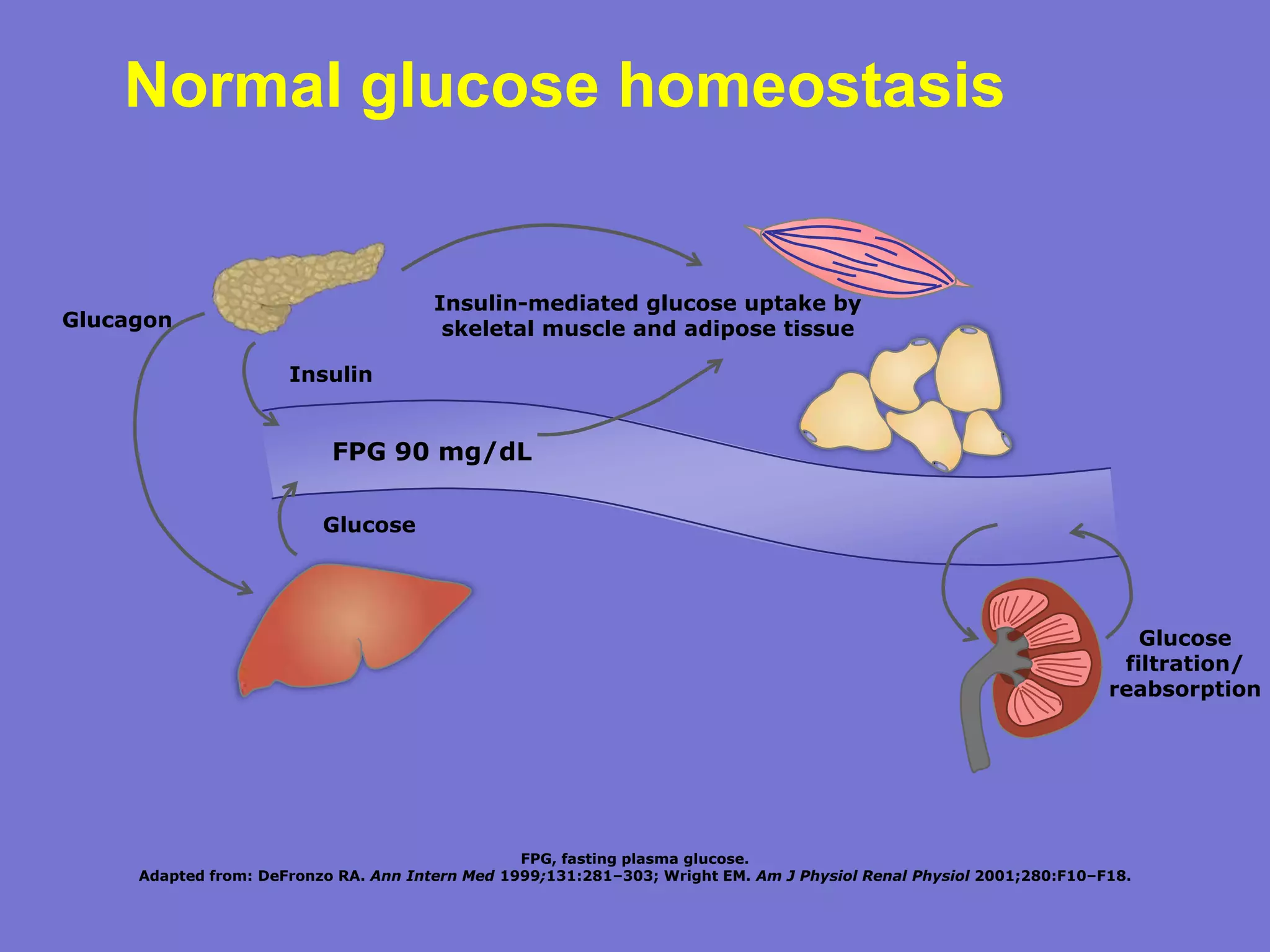 Pathophysiology of diabetes final 2 | PPTX