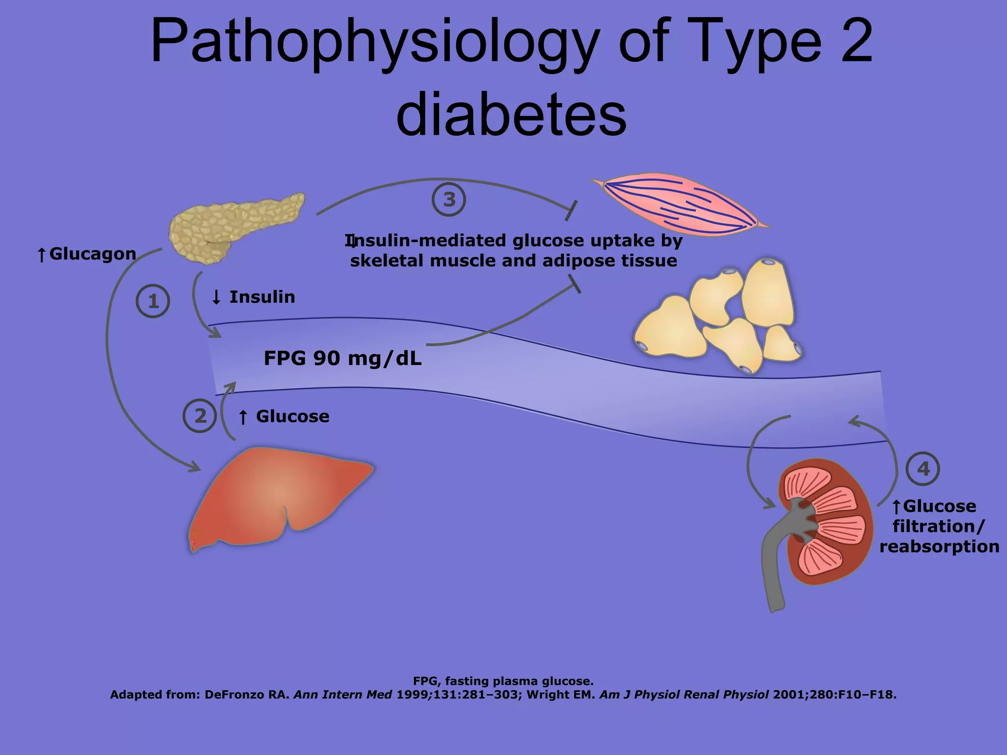 Pathophysiology of diabetes final 2 | PPTX