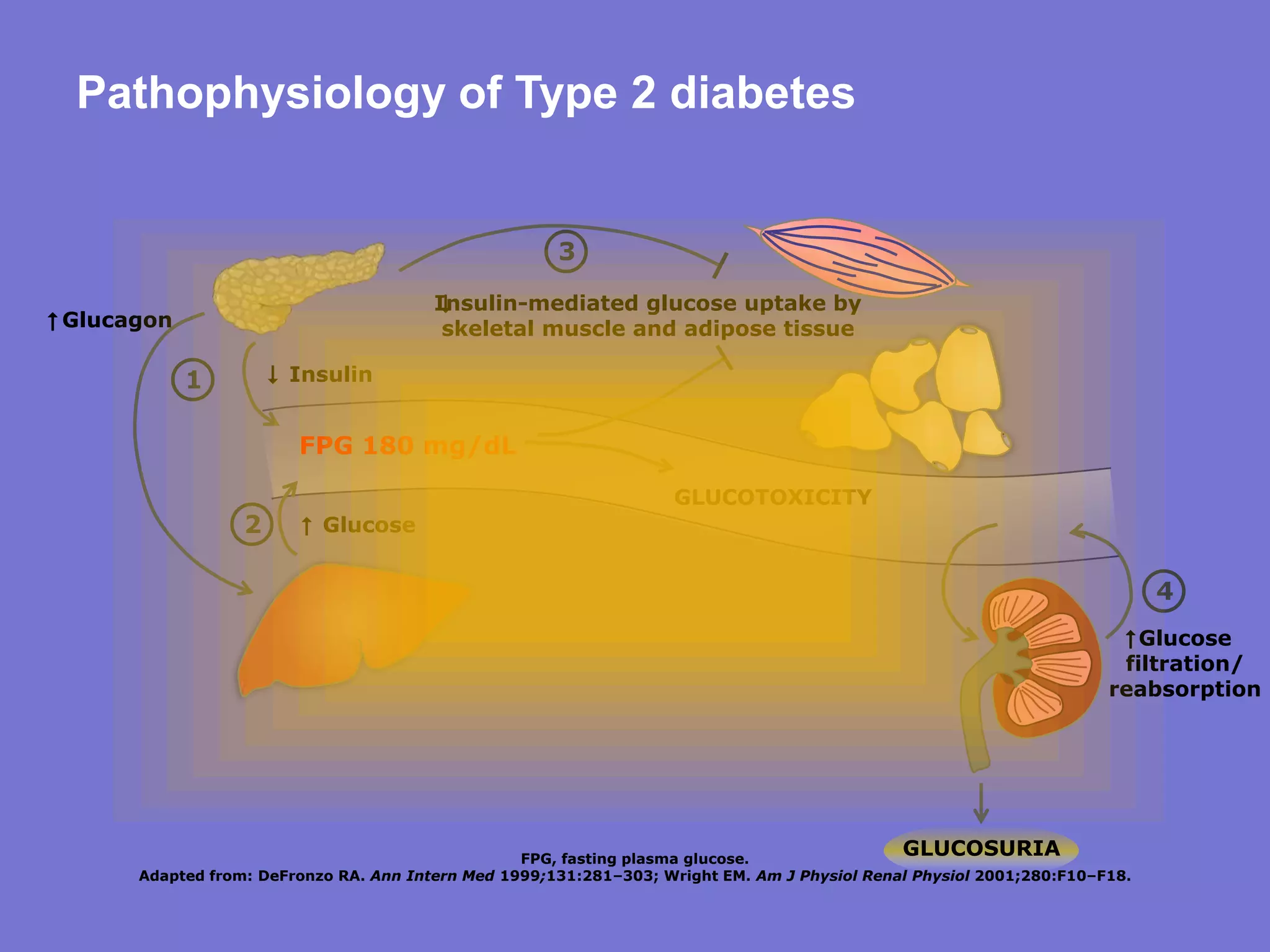 Pathophysiology of diabetes final 2 | PPTX