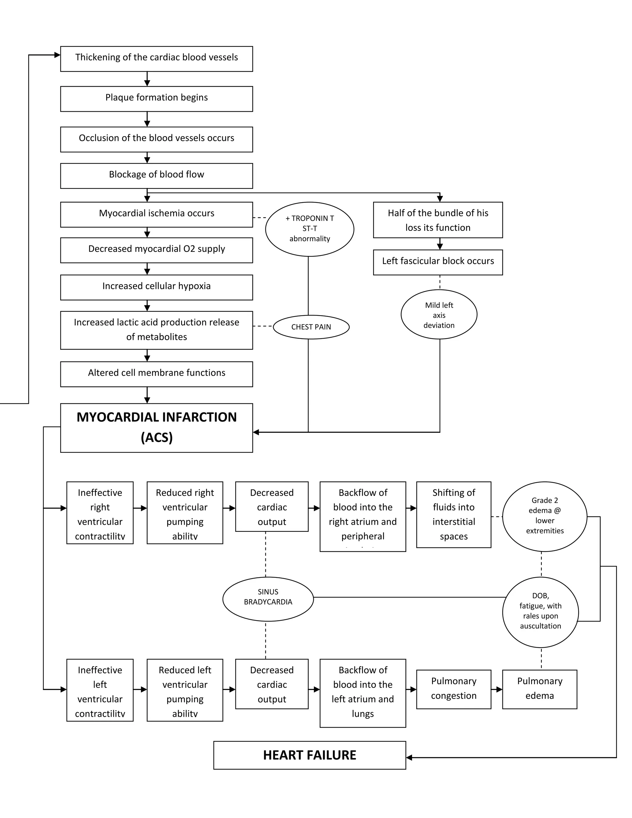 Pathophysiology of diabetes mellitus | DOCX