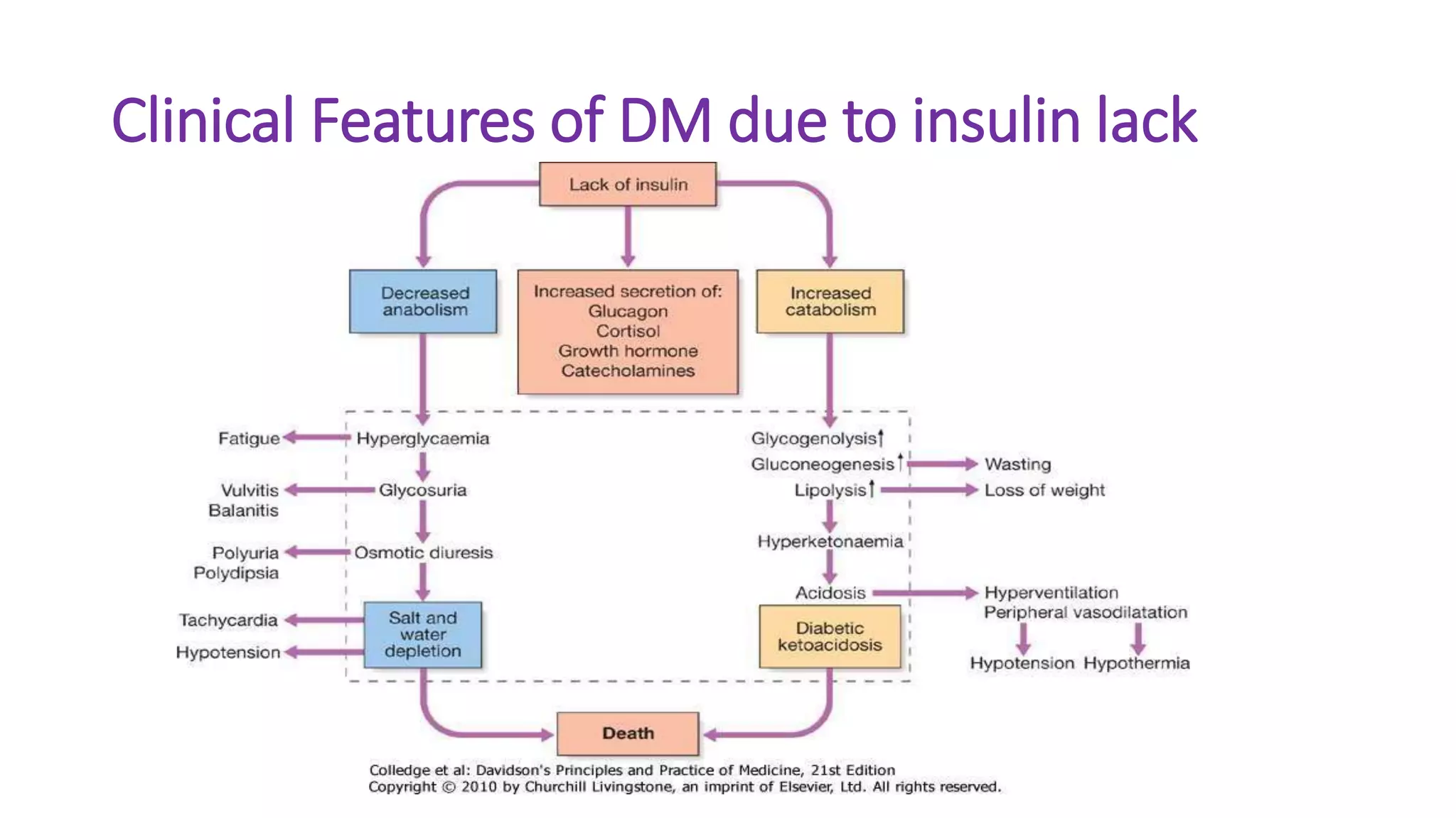 Pathophysiology of diabetes mellitus | PPTX