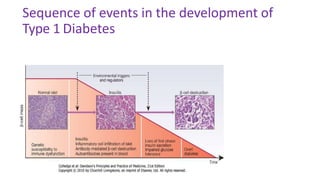 Pathophysiology of diabetes mellitus | PPTX