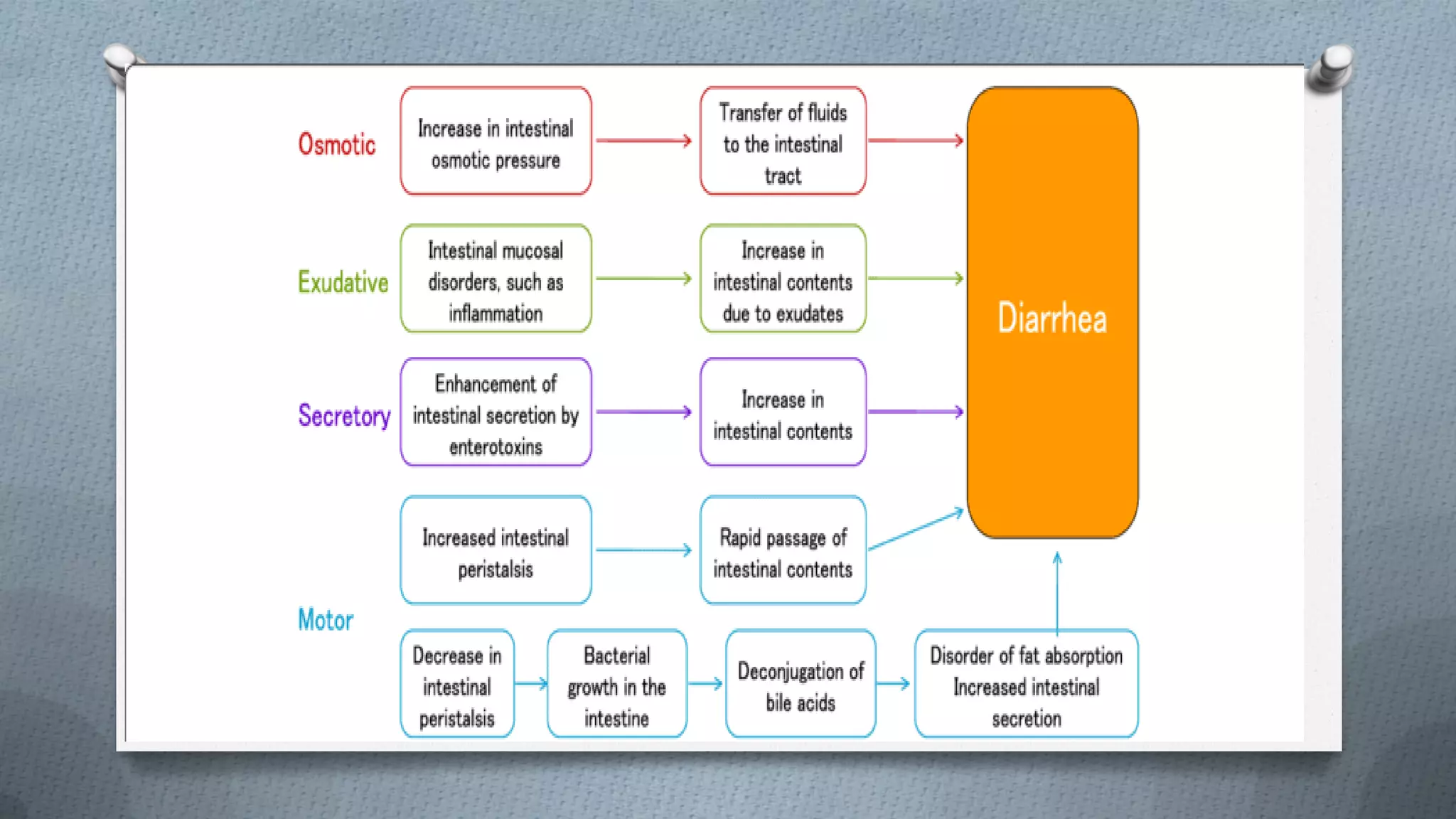Pathophysiology of diarrhea olaiya | PDF