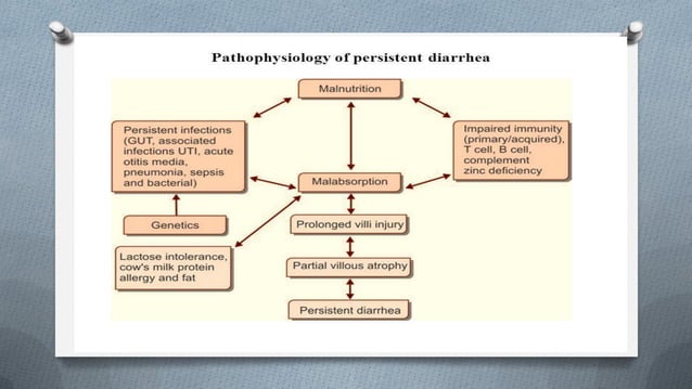 Pathophysiology of diarrhea olaiya | PPT