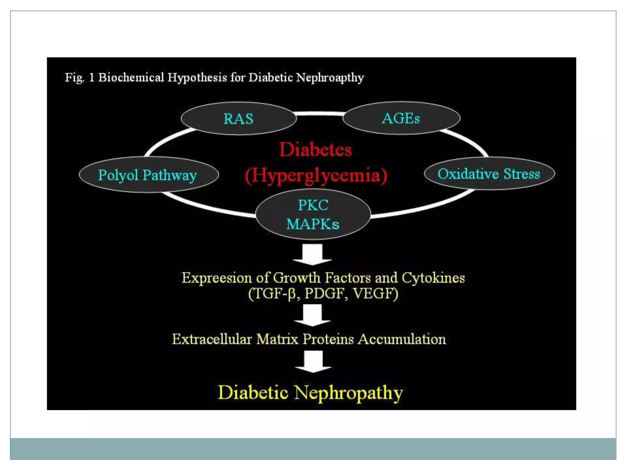 Pathophysiology of dibetic nephropathy | PPTX