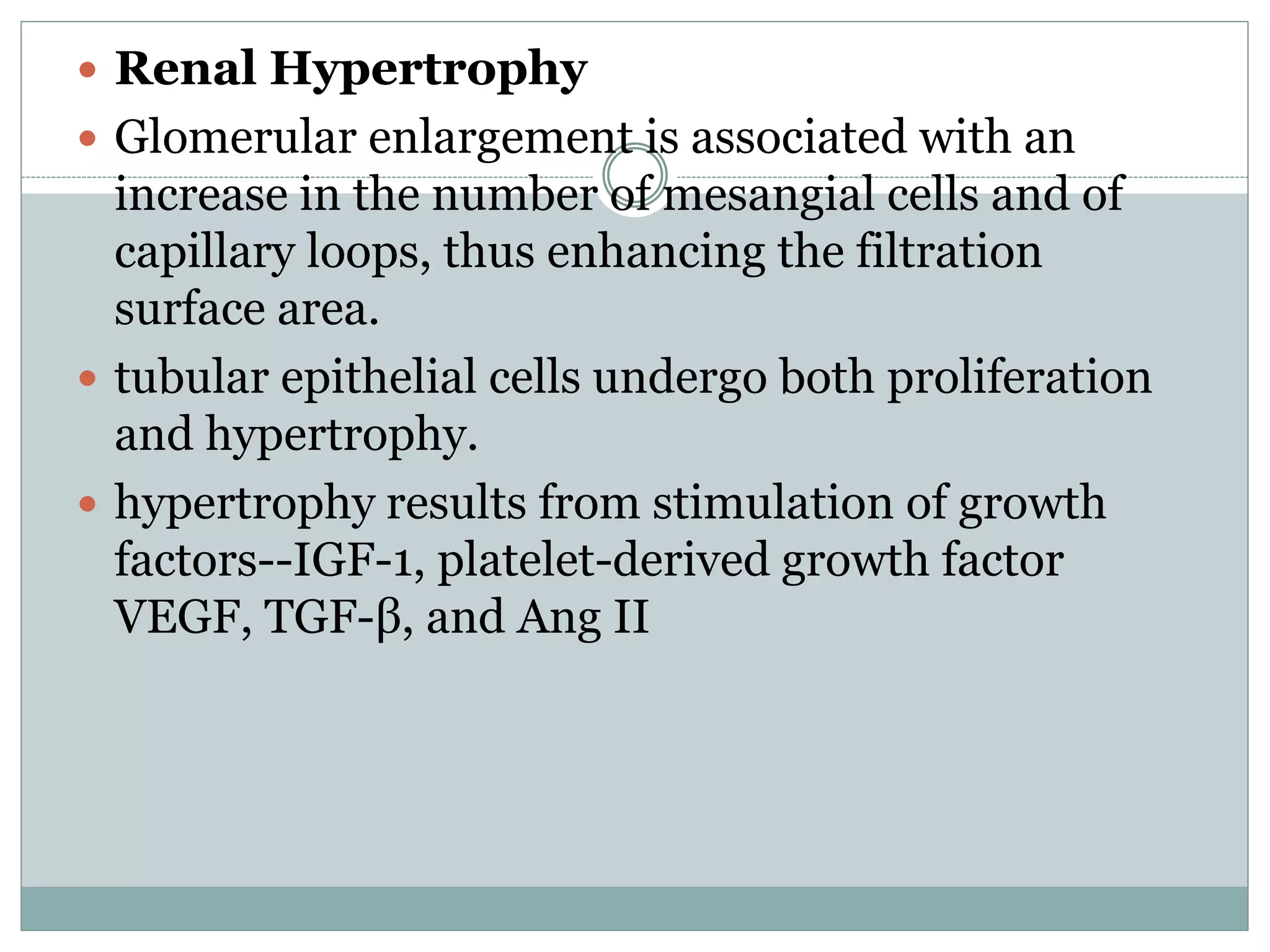 Pathophysiology of dibetic nephropathy | PPTX