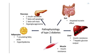 Pathophysiology of Diabetes Mellitus.... | PPT | Free Download