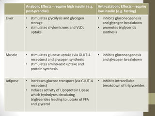 Pathophysiology of diabetes mellitus | PPTX