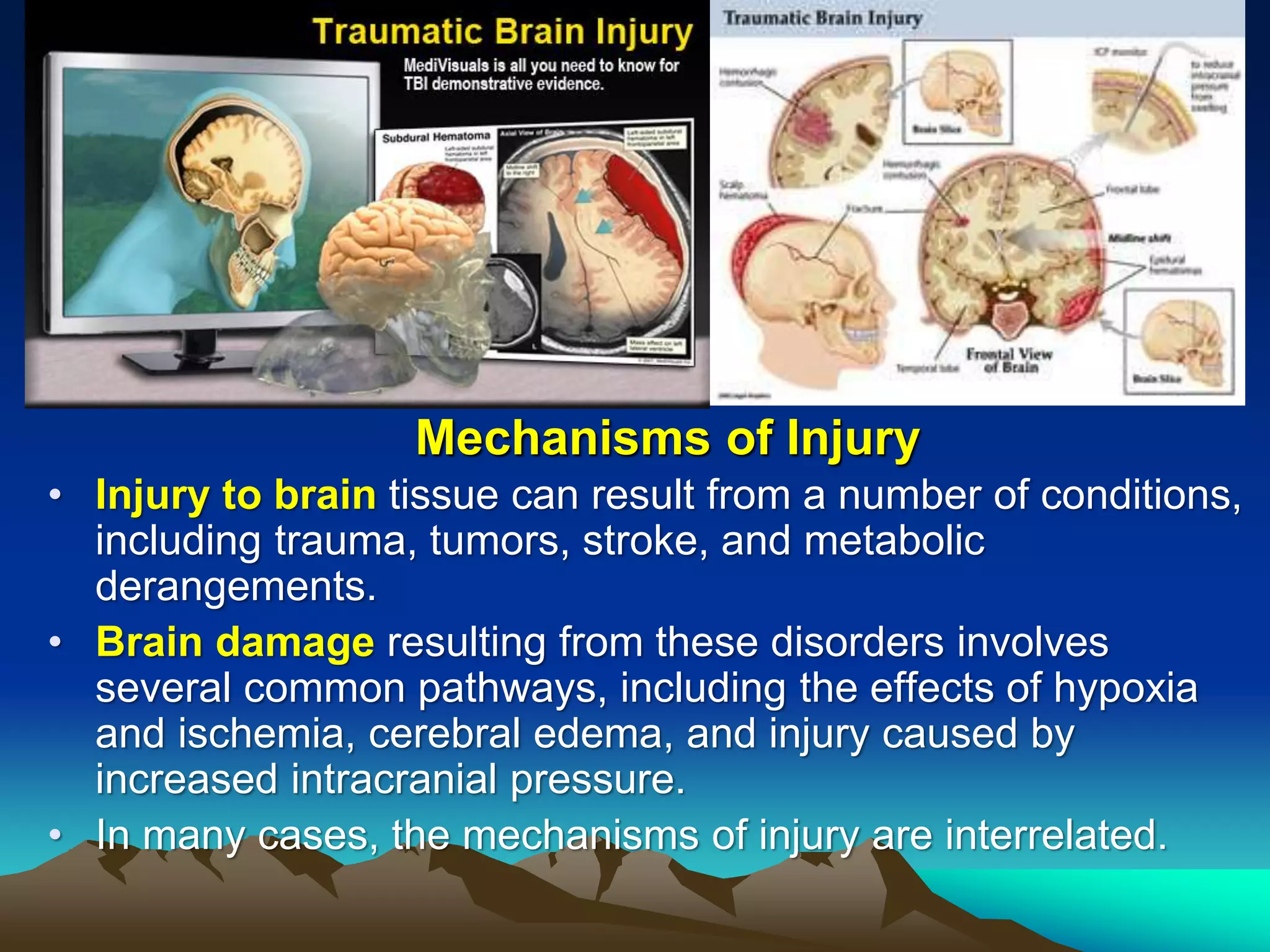 Pathophysiology of extremal states | PPT