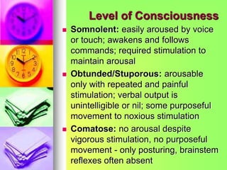 Pathophysiology of extremal states | PPT