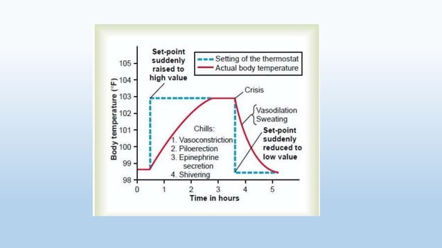 Patho-physiology of Fever : Dr Faisal Abdullah | PPTX