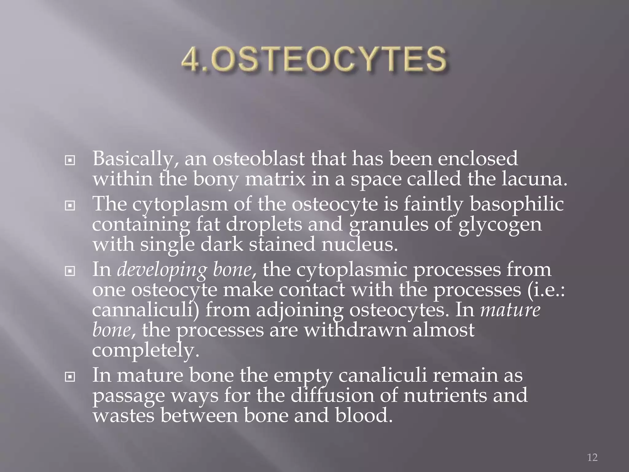 Pathophysiology of fracture healing | PPTX
