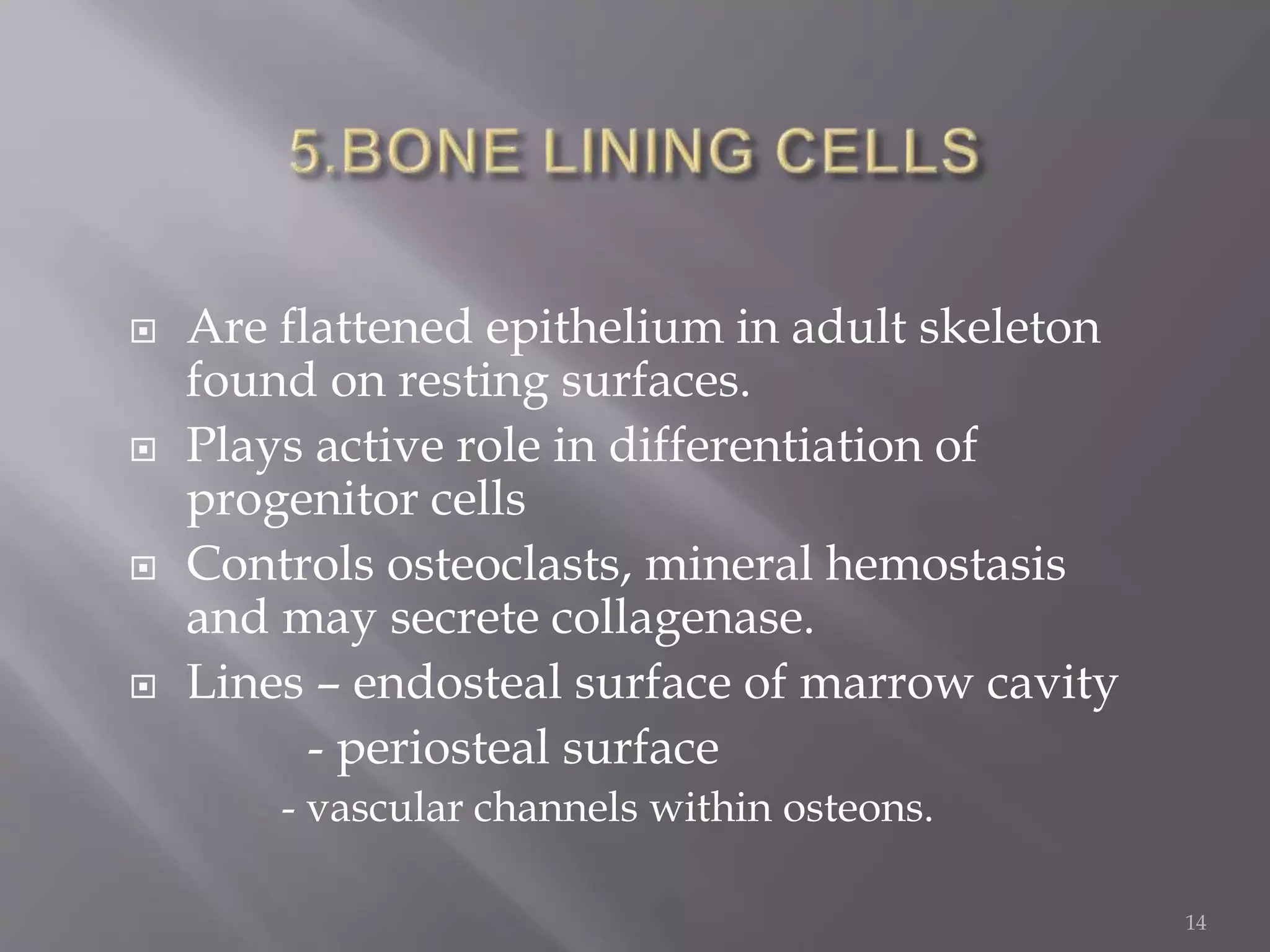 Pathophysiology of fracture healing | PPTX