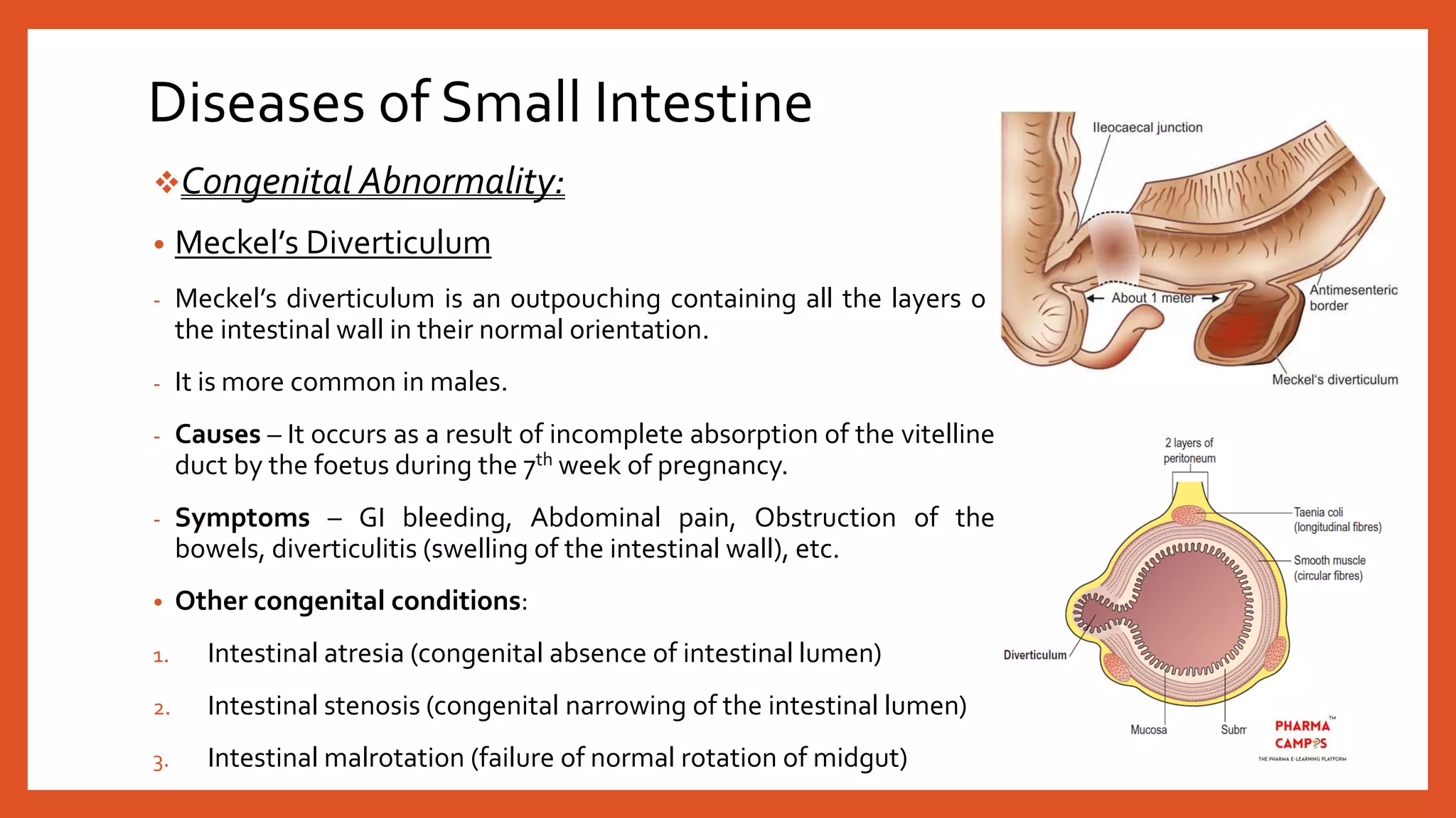 Pathophysiology of Gastrointestinal tract | PDF