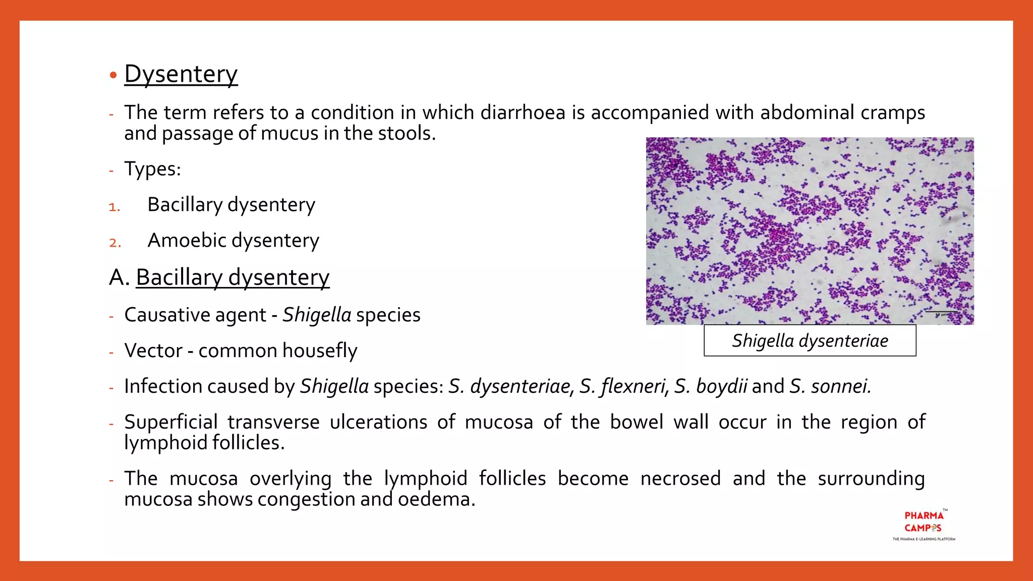 Pathophysiology of Gastrointestinal tract | PDF