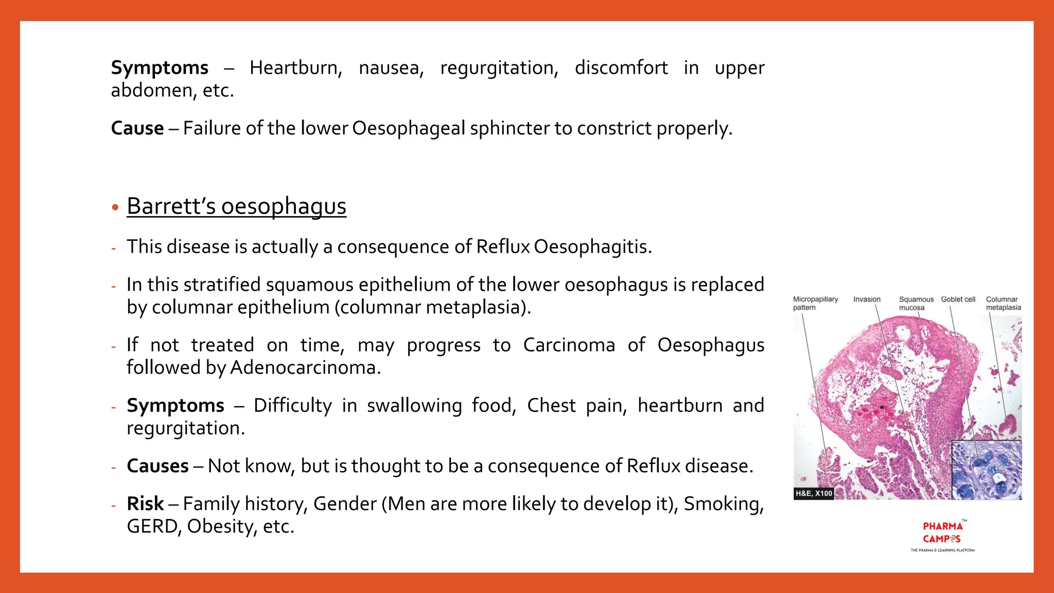 Pathophysiology of Gastrointestinal tract | PDF