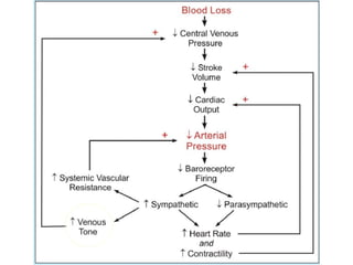 Pathophysiology of haemorrahgic shock.pdf | Heart and Cardiovascular ...