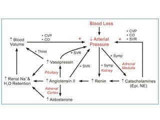 Pathophysiology of haemorrahgic shock.ppt