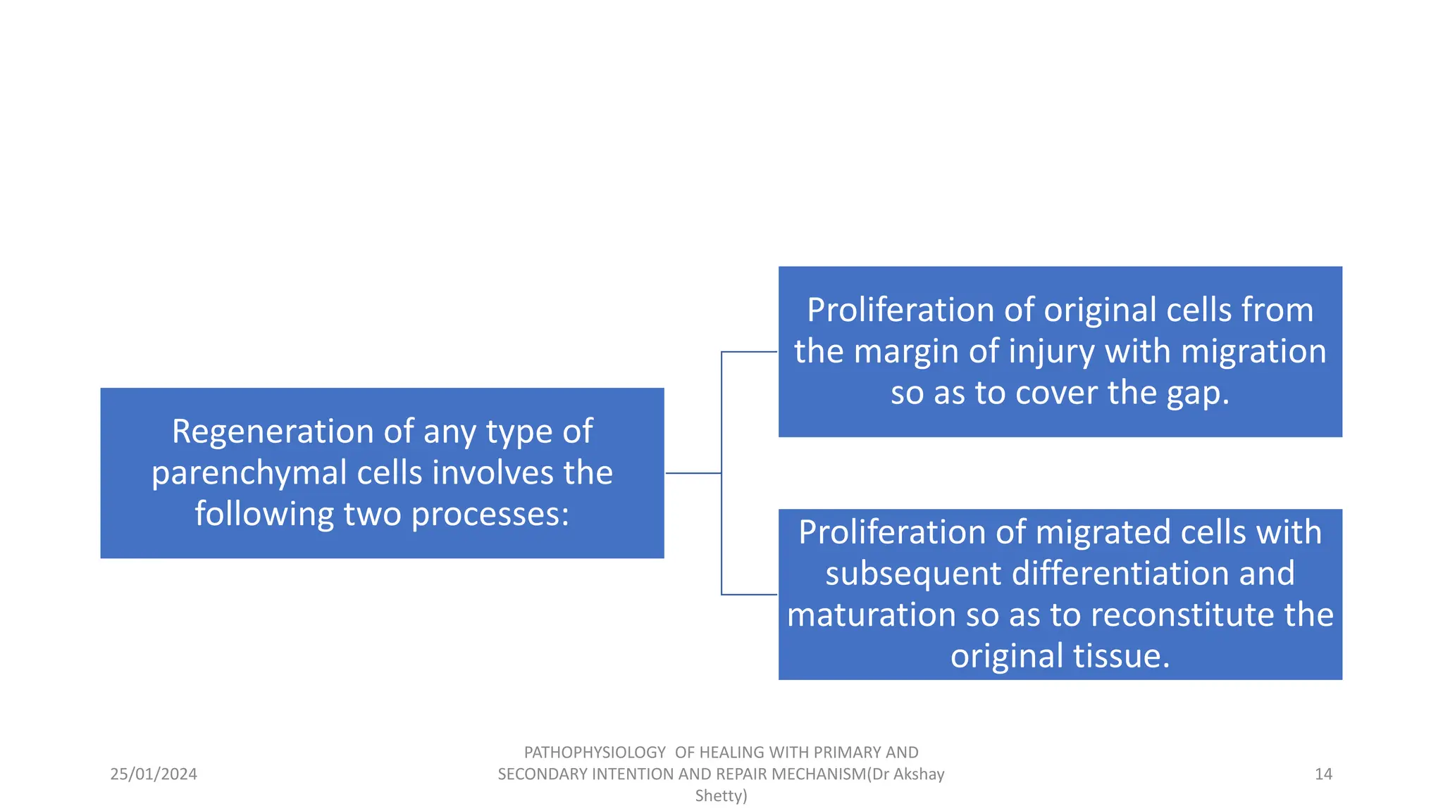 PATHOPHYSIOLOGY OF HEALING WITH PRIMARY & SECONDARY INTENTION.pptx