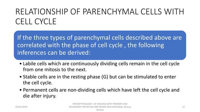 PATHOPHYSIOLOGY OF HEALING WITH PRIMARY & SECONDARY INTENTION.pptx ...