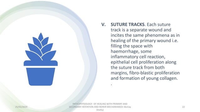 PATHOPHYSIOLOGY OF HEALING WITH PRIMARY & SECONDARY INTENTION.pptx ...