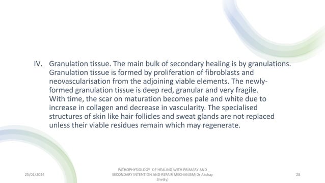 PATHOPHYSIOLOGY OF HEALING WITH PRIMARY & SECONDARY INTENTION.pptx ...