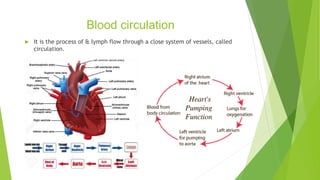 Pathophysiology of heart | PPTX