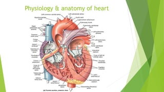 Pathophysiology of heart | PPTX