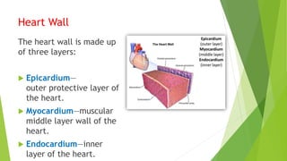 Pathophysiology of heart | PPTX