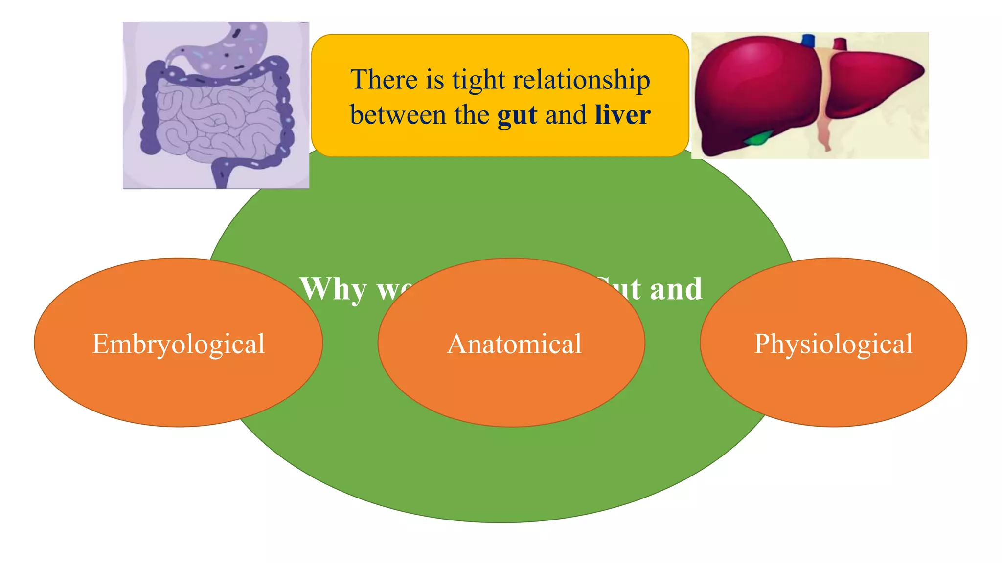 Pathophysiology of Hepatobiliary Menifestation of IBD.pptx
