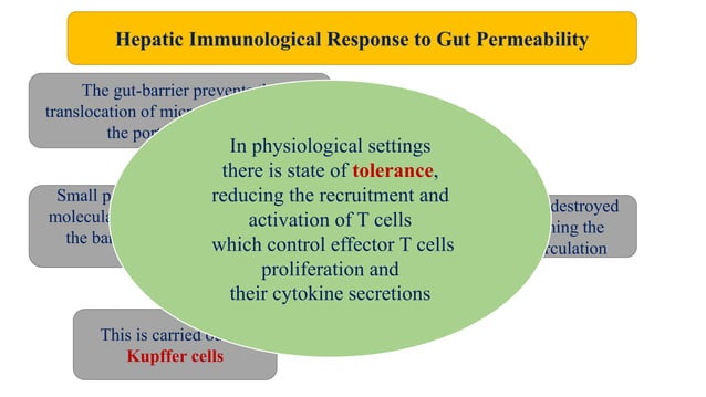 Pathophysiology of Hepatobiliary Menifestation of IBD.pptx