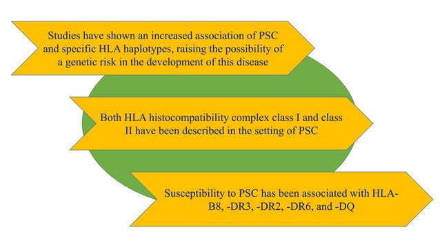 Pathophysiology of Hepatobiliary Menifestation of IBD.pptx